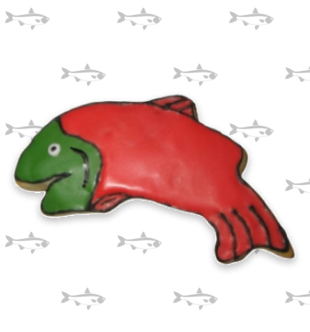 Salmon Cookies